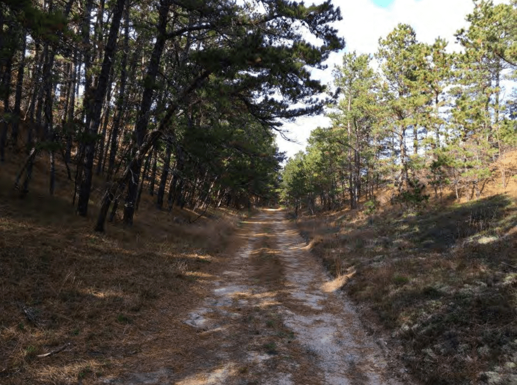 Wellfleet Debates Details Over Northern Extension of Cape Cod Rail ...