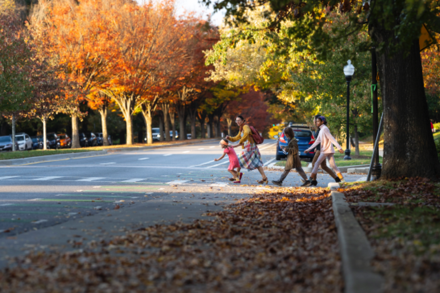 MBTA's New Electric Bus Order Could Support More Center-Running Busways ...